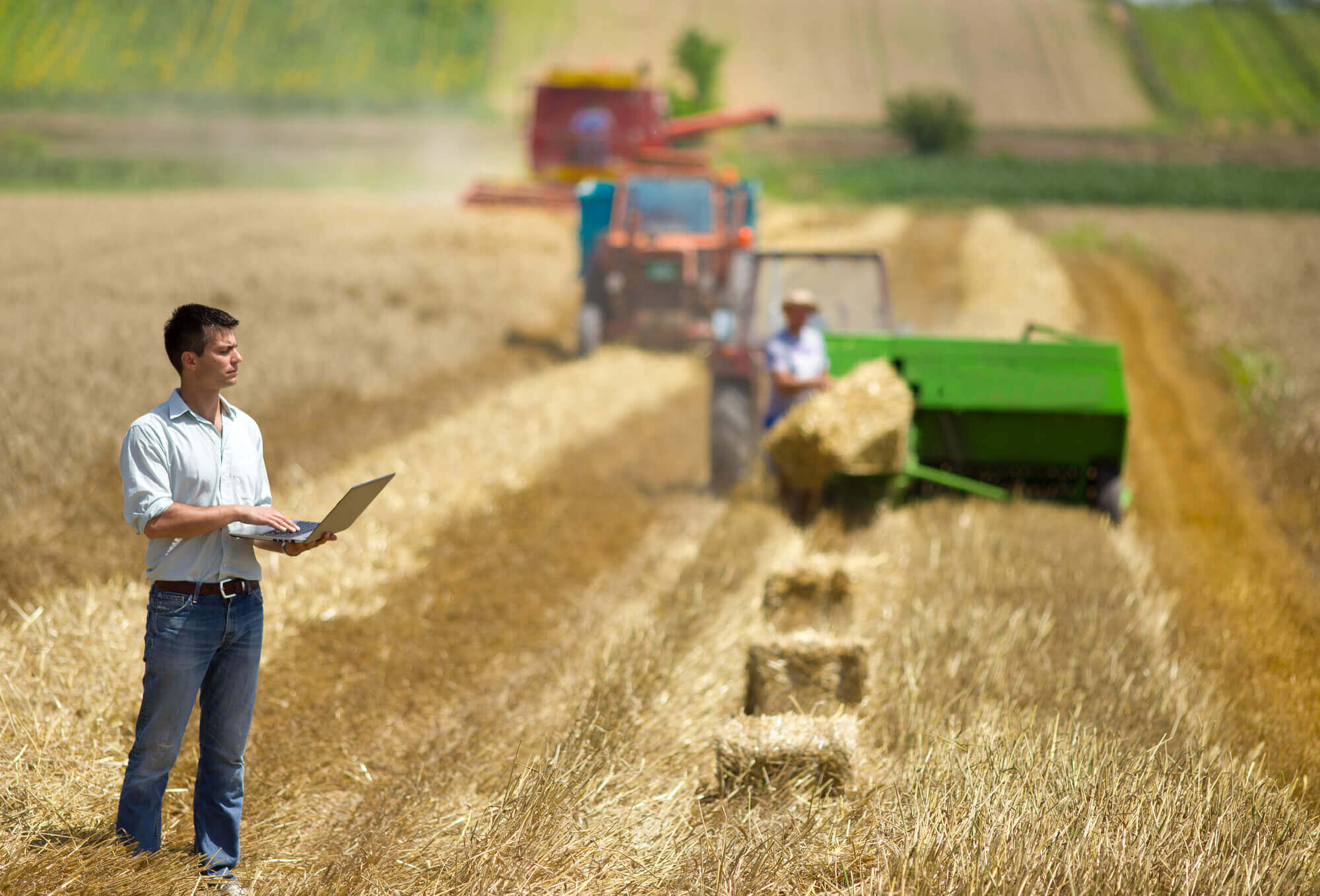Gestão Agrícola: Aprenda a ter mais lucro para sua fazenda Gestão Agrícola: Aprenda a ter mais lucro para sua fazenda