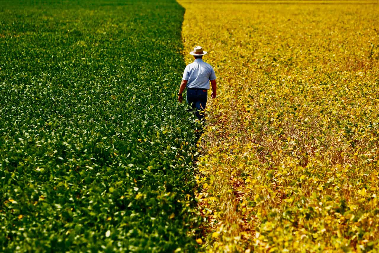 Sustentabilidade No Agronegócio Negócios Rurais Sustentáveis