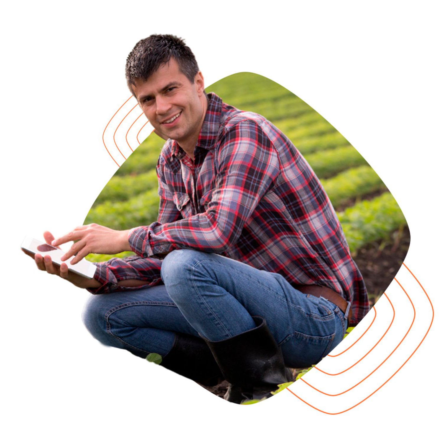 Consultores Parceiros - Software Gestão Rural - MyFarm