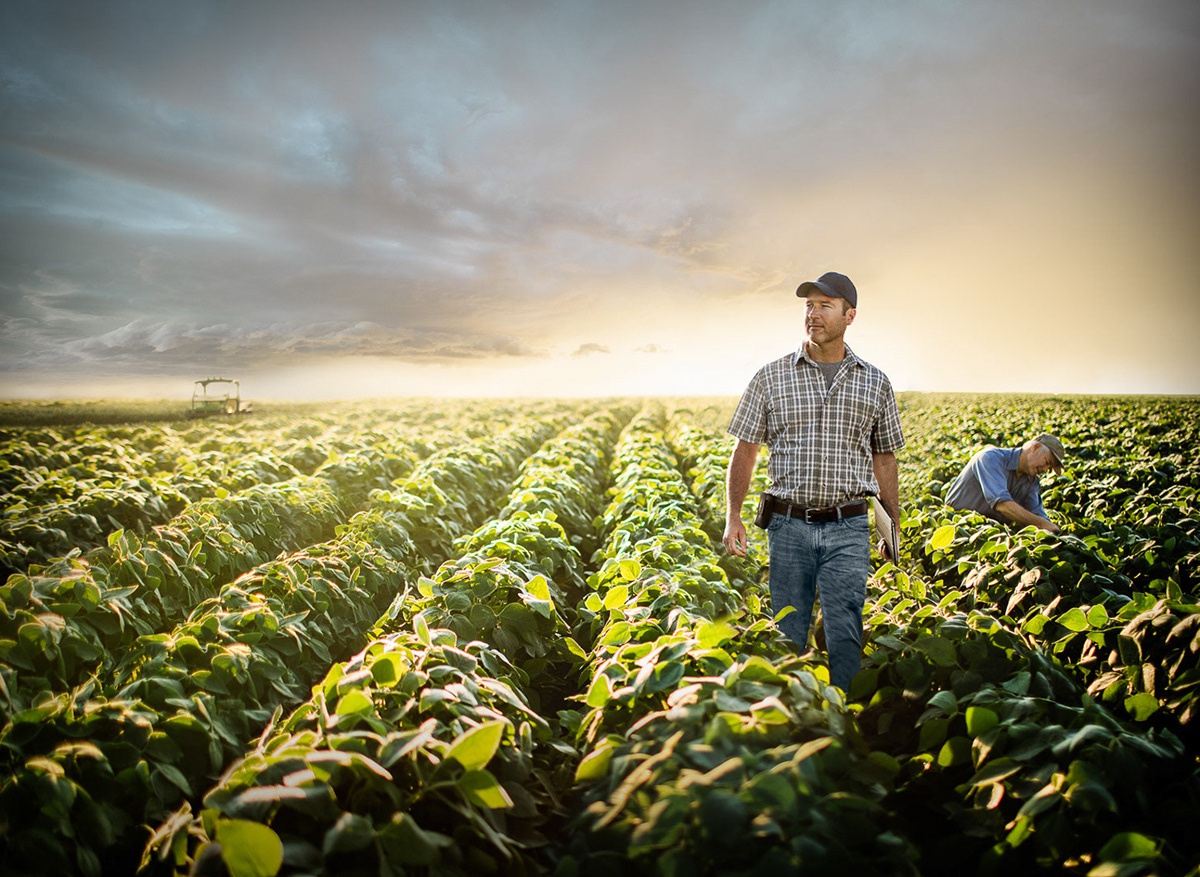 Quem Somos - MyFarm - Software de Gestão Agrícola - Uma Solução Aliare