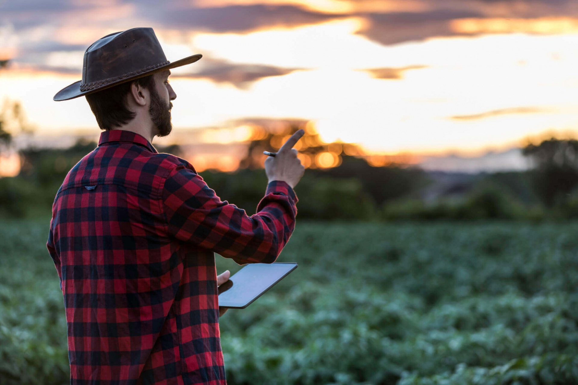 MyFarm - Software de Gestão Agrícola - Uma Solução Aliare