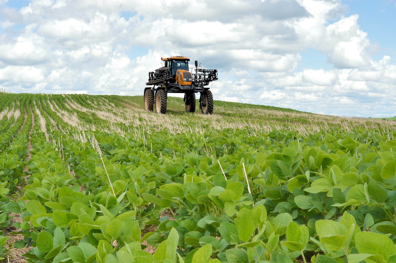Biofungicidas: alternativa sustentável no combate de doenças de plantas