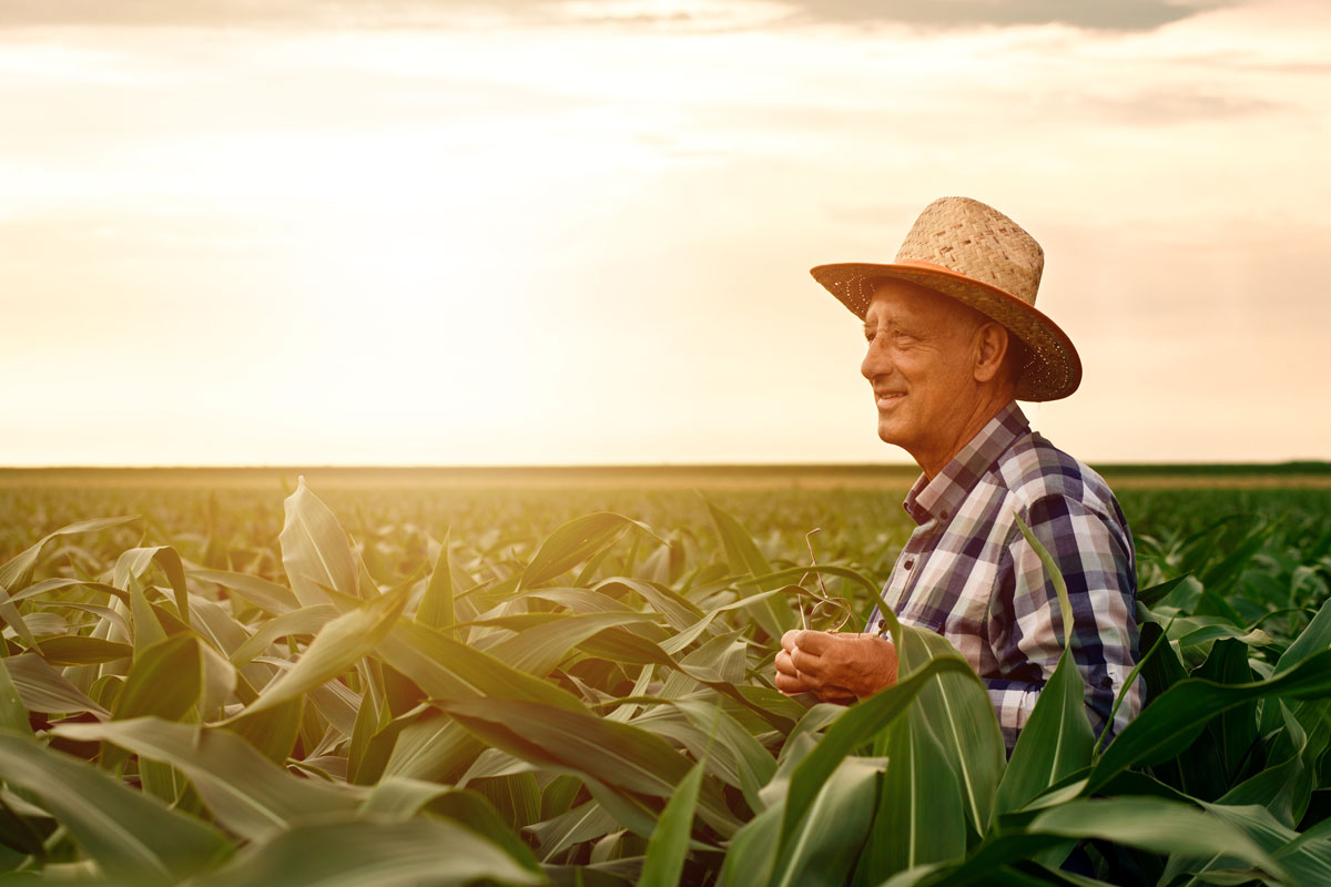 Como ser um agricultor de sucesso? Leia as dicas!