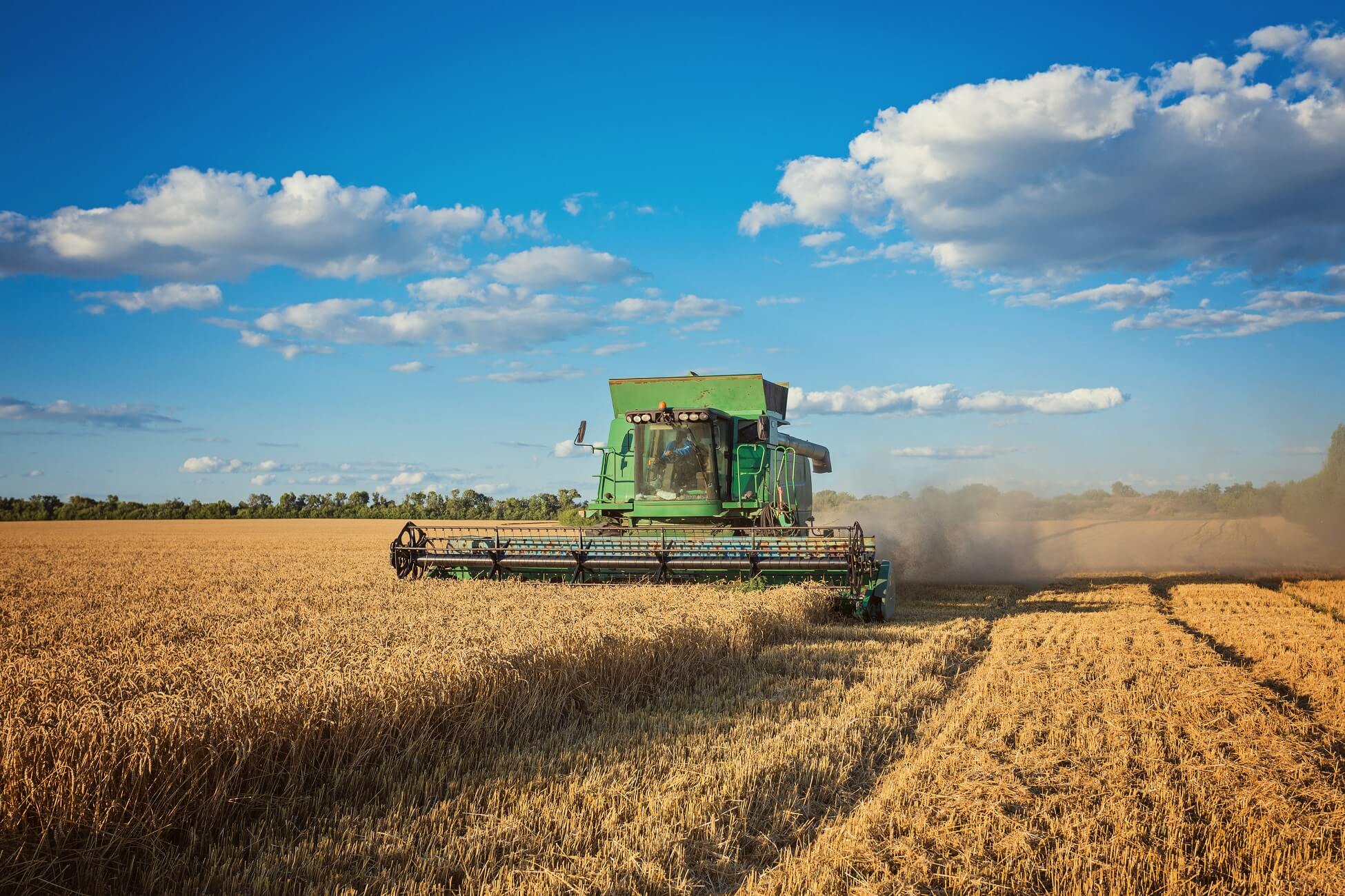 Como a IA está transformando o agronegócio mundial?