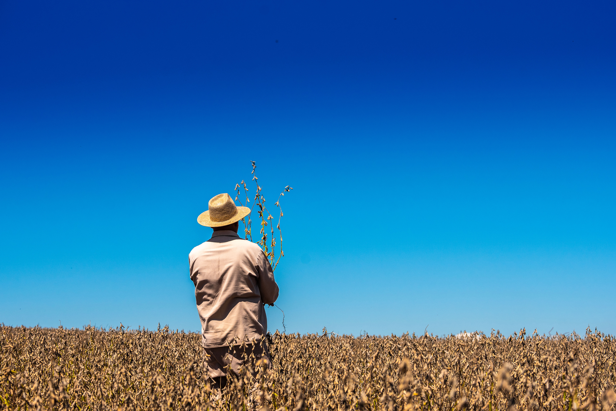 CAEPF: saiba o que é e sua importância para o produtor rural